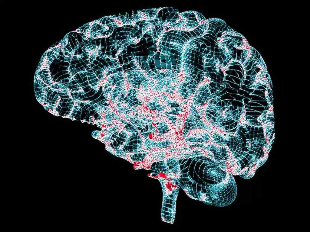 Researchers Will Soon Be Able To Edit Your Brain Activity And Memories With Holographic Device 