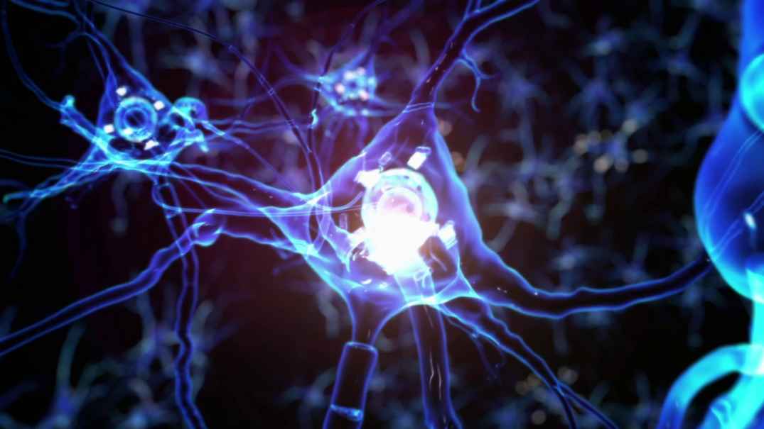 Bayer acquires biotech startup BlueRock Therapeutics for $1 billion to ...
